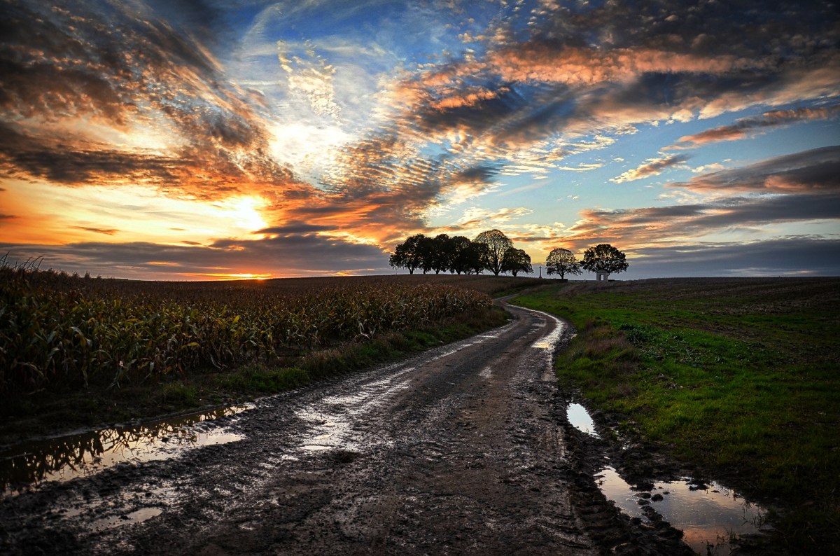 Courcelette Sunset | WW1 Revisited
