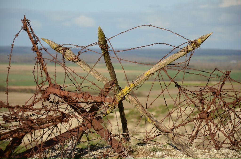 Barbed Wire | WW1 Revisited